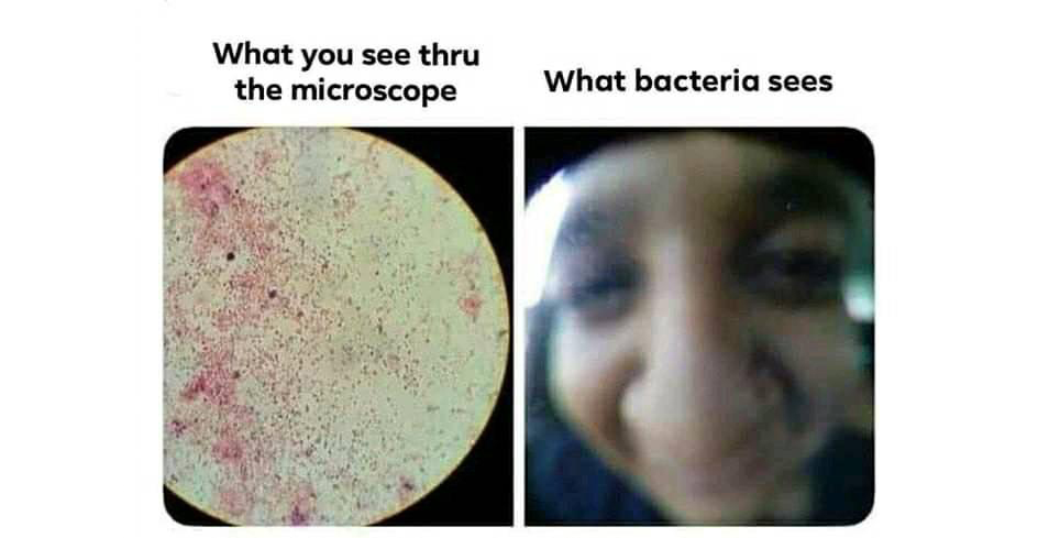 Bacterial Infection Memes