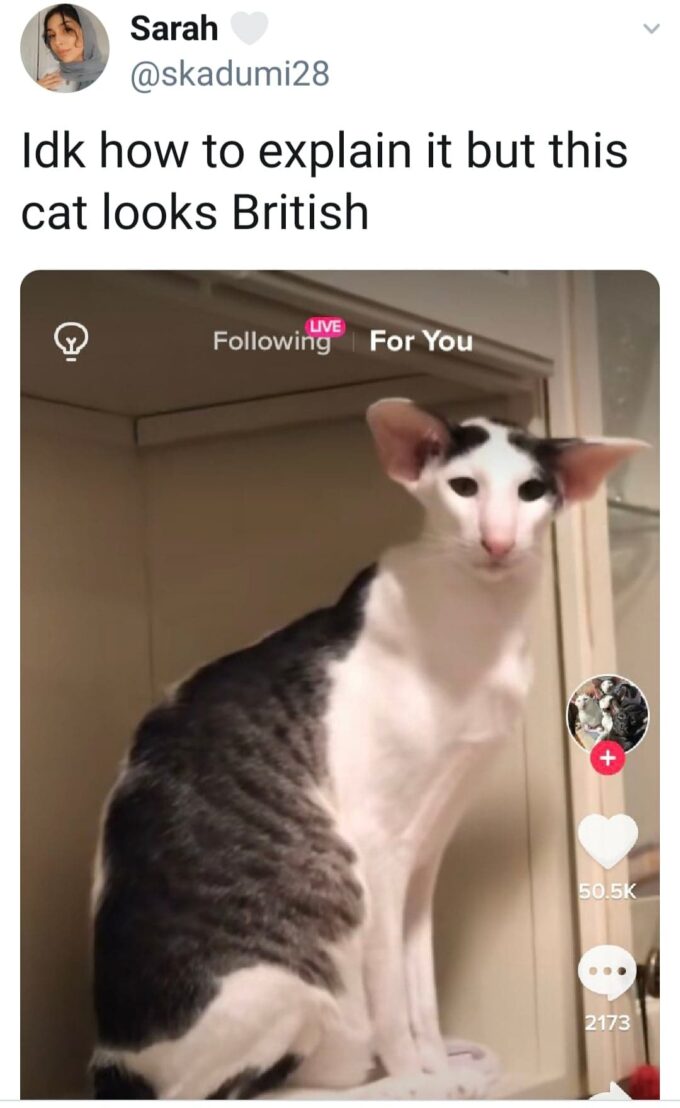 Romantic memes to make you swoon • The Medical Republic