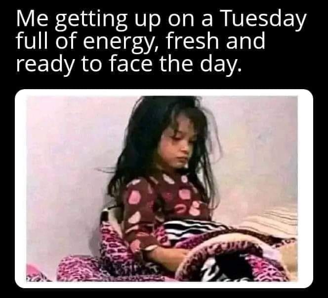 Siesta memes for when you're feeling sleepy • The Medical Republic